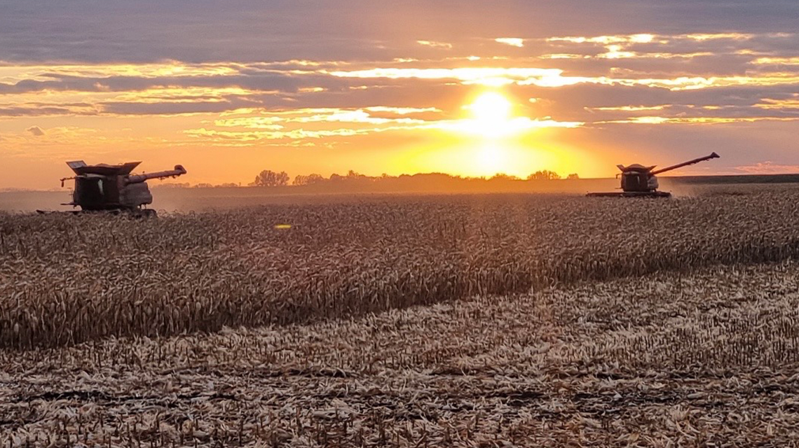 Services | Midco Business